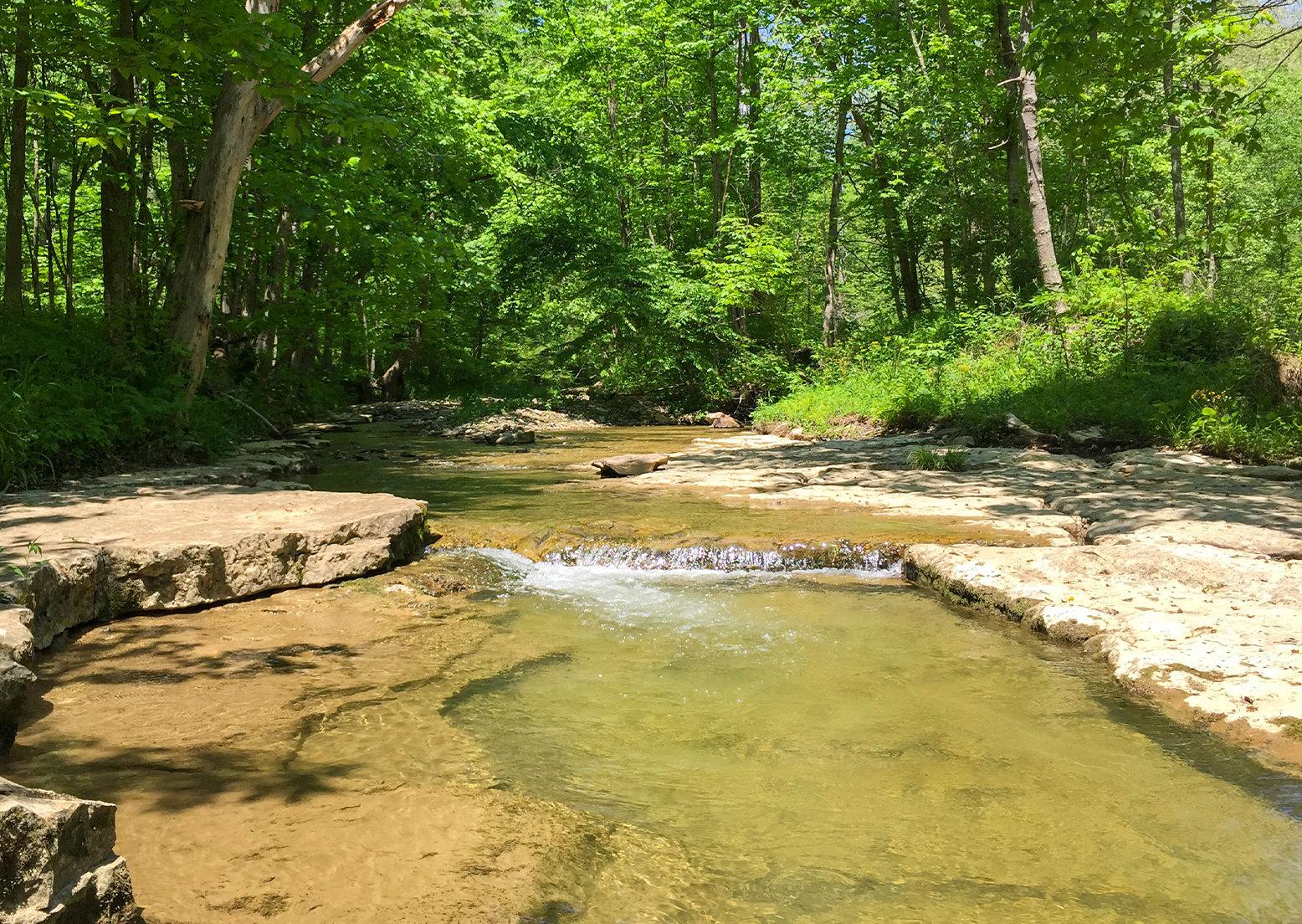Mitigation Banks | Wetland Protection | Stream + Wetlands Foundation